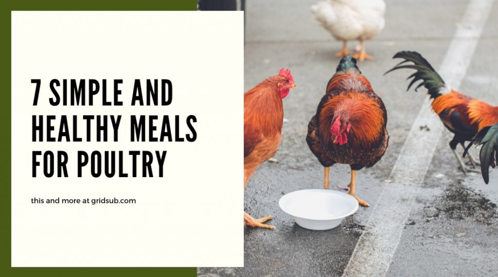7 Simple and Healthy Meals for Poultry – Grid Sub