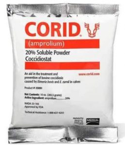 What is the Right Corid Dosage for Chickens? – Grid Sub